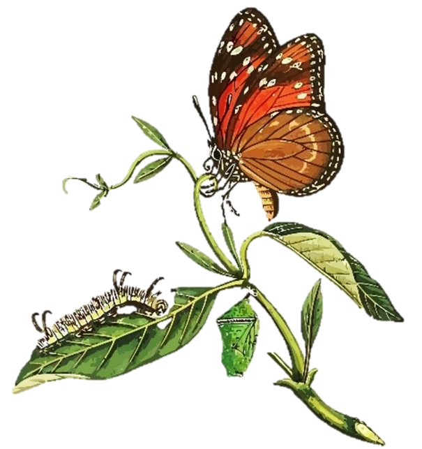 5th Evo Eco PhD Meeting – McMahon Lab